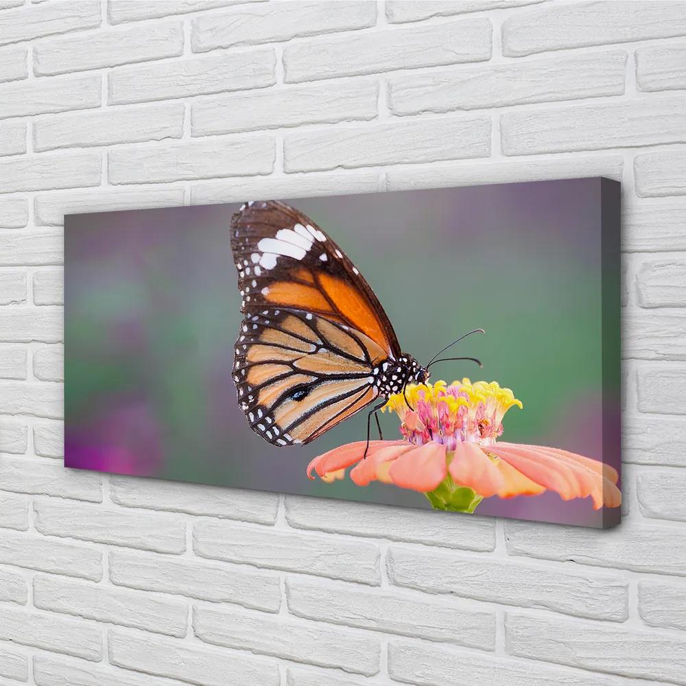 Obrazy na plátně Barevný motýl květina 100x50 cm