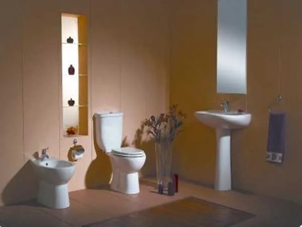 Canakcilar Ceramic  Creavit Sedef WC kombi + bidet 2v1 spodní odpad bílá SD3041