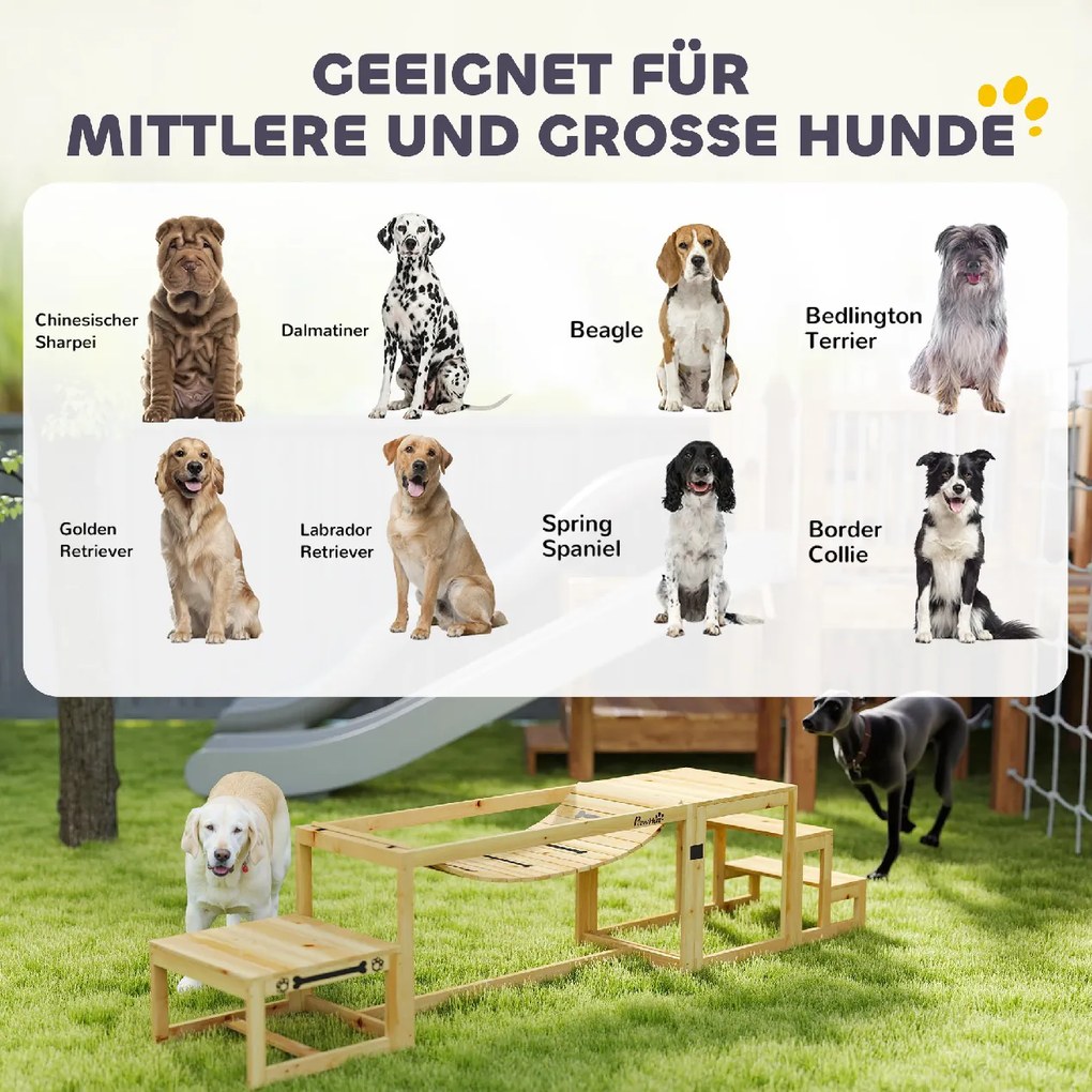PawHut Agility set pro psy, konstrukce pro výcvik psů s mostem, schody, plošina, jedlové dřevo, pro velké psy do 40 kg