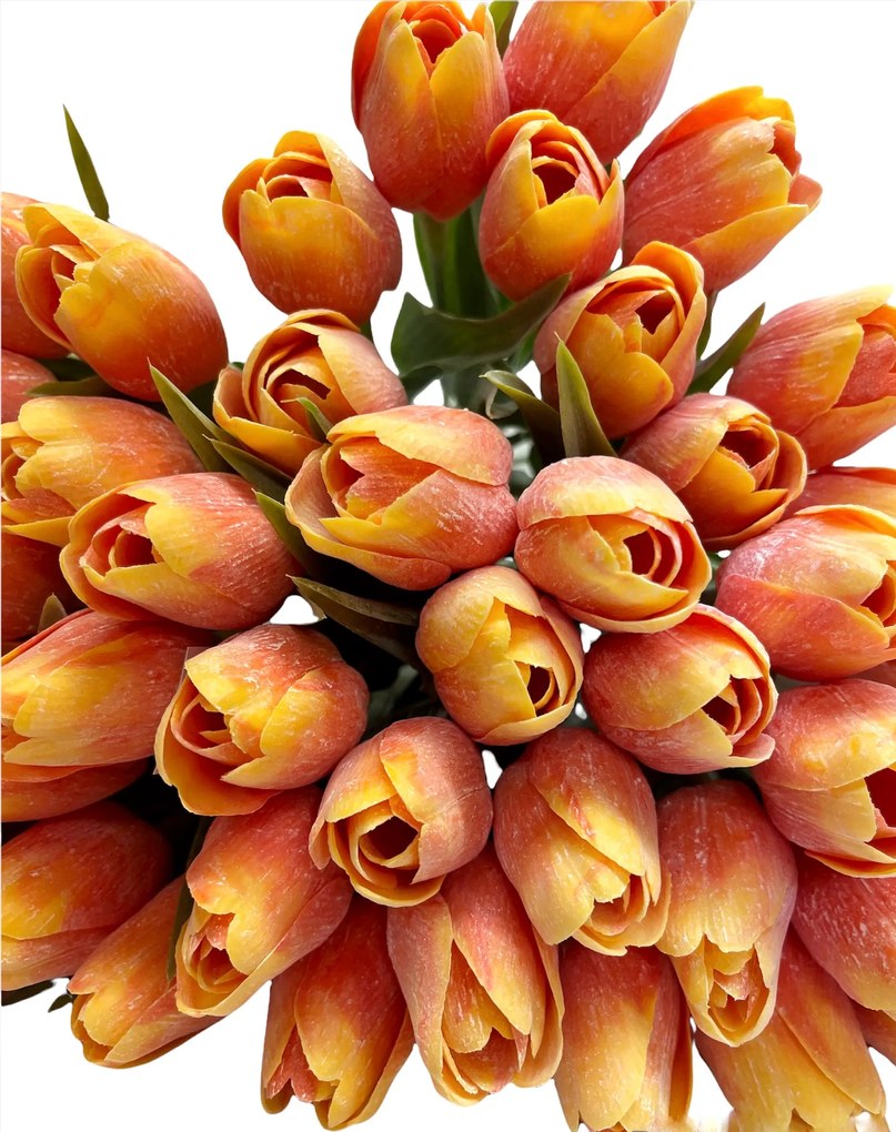 Tulipán DEEP ORANGE