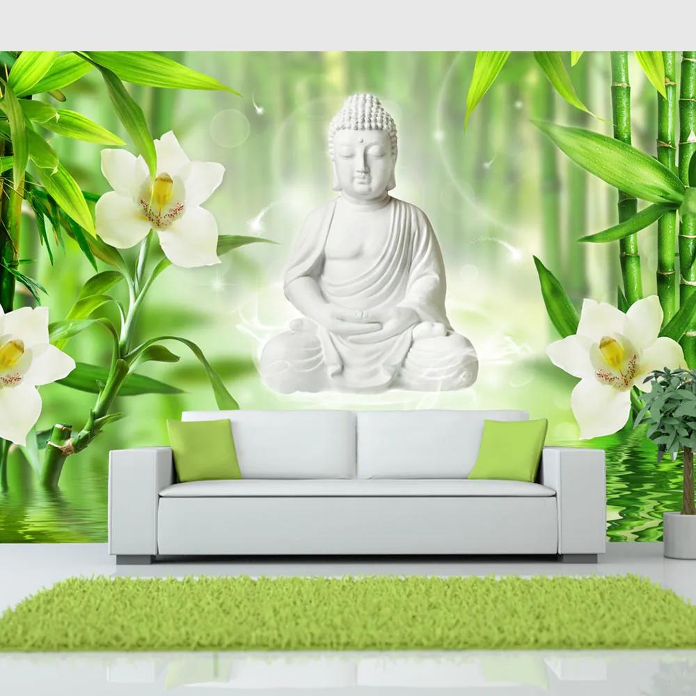 Fototapeta - Buddha a příroda 300x210 + zdarma lepidlo