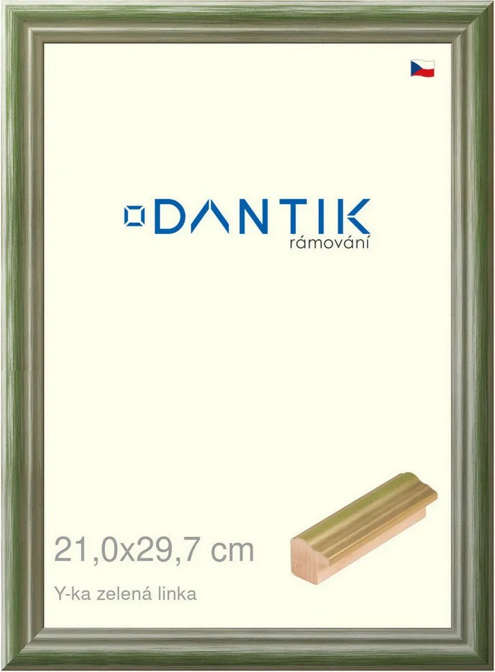 DANTIK rámeček 21x29,7 | Y-ka zelená linka (Sklo Čiré)