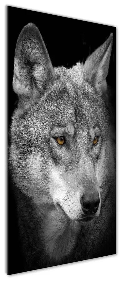 Wallmuralia Foto-obrah sklo tvrzené Portrét vlka 50x125 cm