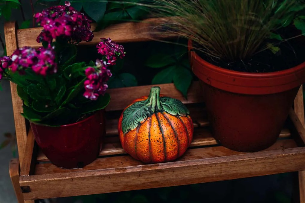 Podzimní dekorace dýně Evžen