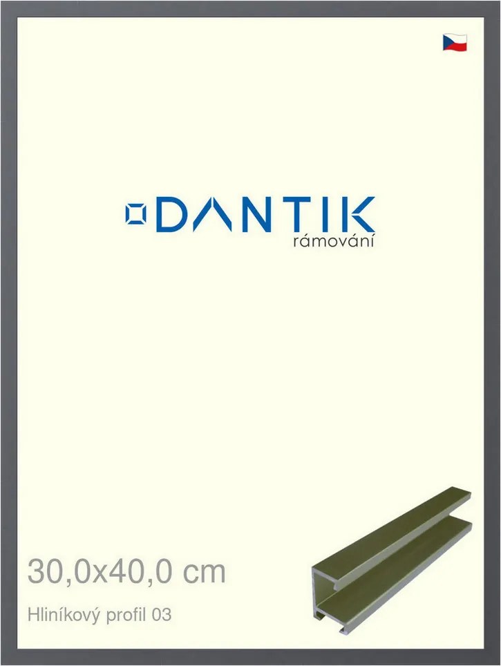 DANTIK rámeček 30x40 | ALU profil 7003 Platina matná (Plexi Čiré)