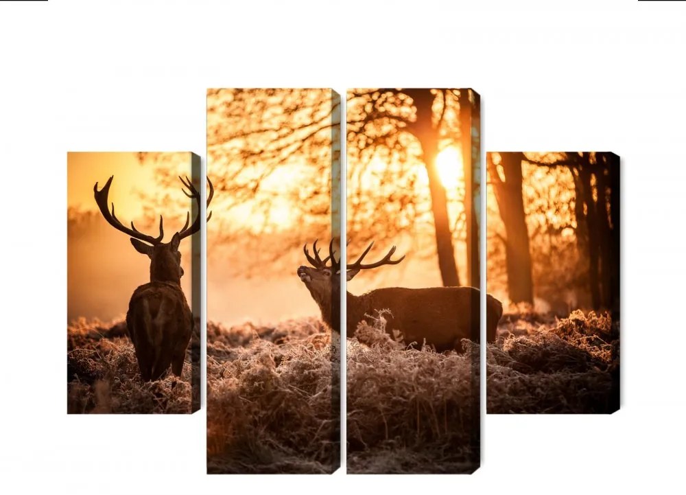 Vícedílný obraz Dva Jeleni V Lese Při Západu Slunce 3D Nedostatek Nedostatek Plátno Canvas 200x150