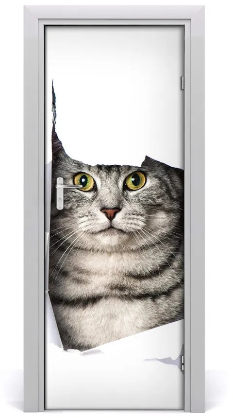 Fototapeta samolepící na dveře kočka v díře 95x205 cm