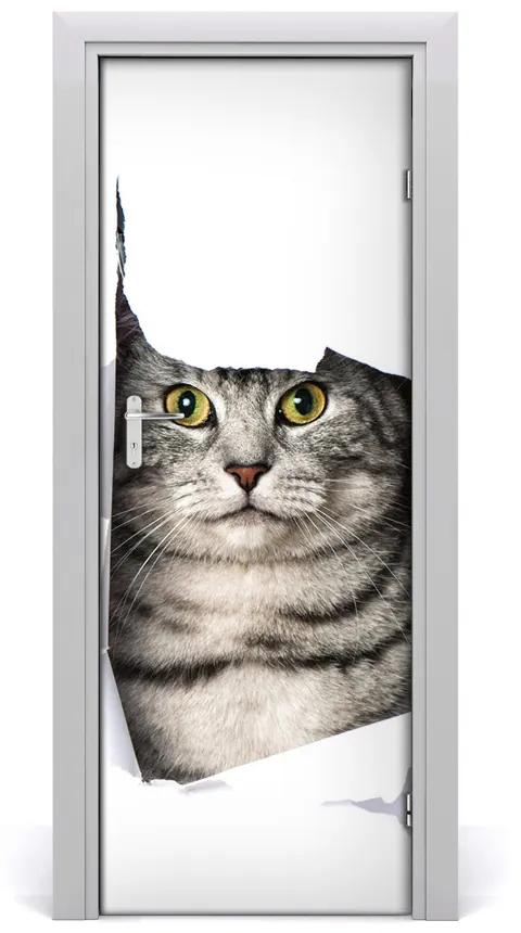 Fototapeta samolepící na dveře kočka v díře 85x205 cm