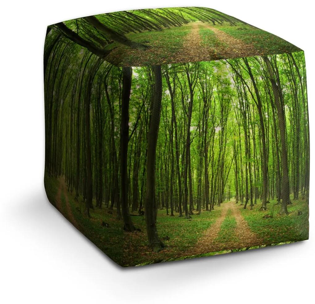 Sablio Taburet Cube Cesta v lese: 40x40x40 cm