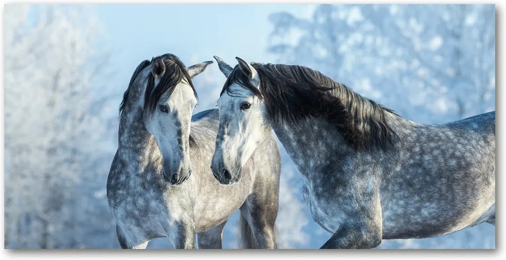 Foto obraz akrylové sklo Zima šedý kůň