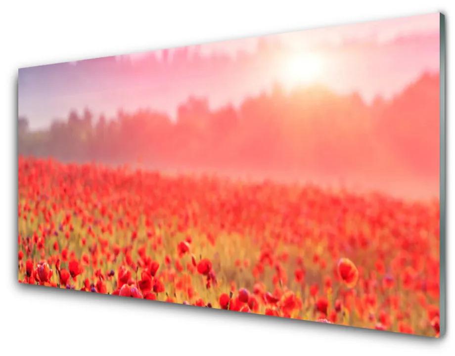 akrylový obraz Louka Květiny Příroda 100x50 cm