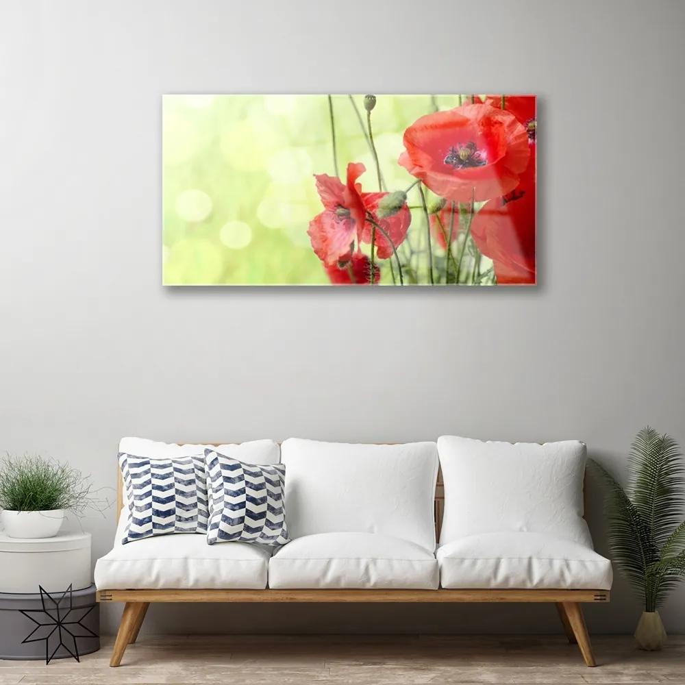 Obraz na skle Máky Květiny Příroda 120x60 cm