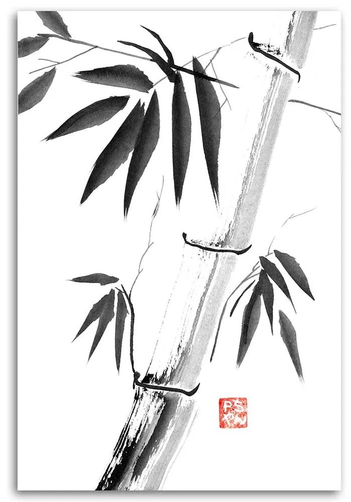 Gario Obraz na plátně Černobílý bambus - Péchane Rozměry: 40 x 60 cm