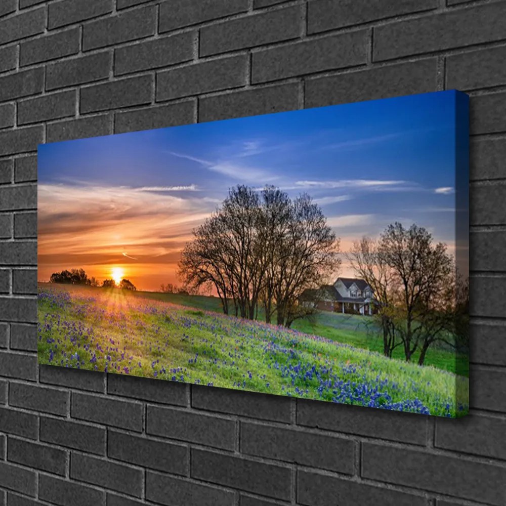 Obraz na plátně Louka Slunce Krajina 125x50 cm