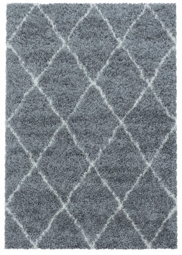 Hans Home | Kusový koberec Alvor Shaggy 3401 grey - 200x290