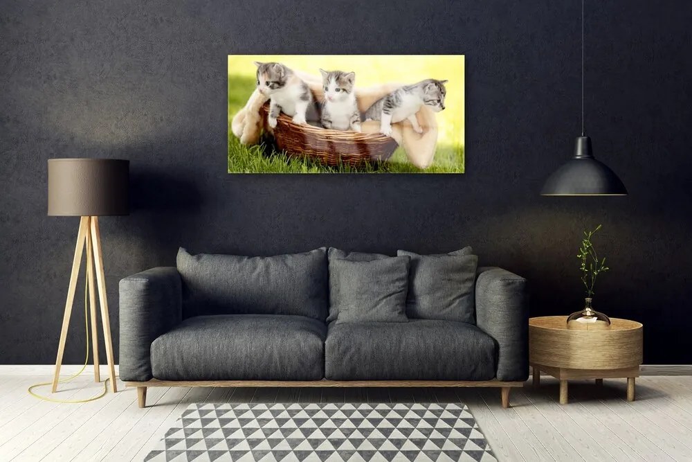 Obraz na skle Kočky Zvířata 125x50 cm