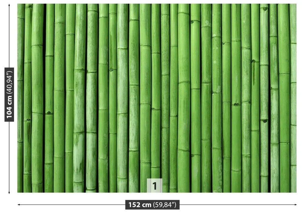 Fototapeta Bambusová zelená 104x70