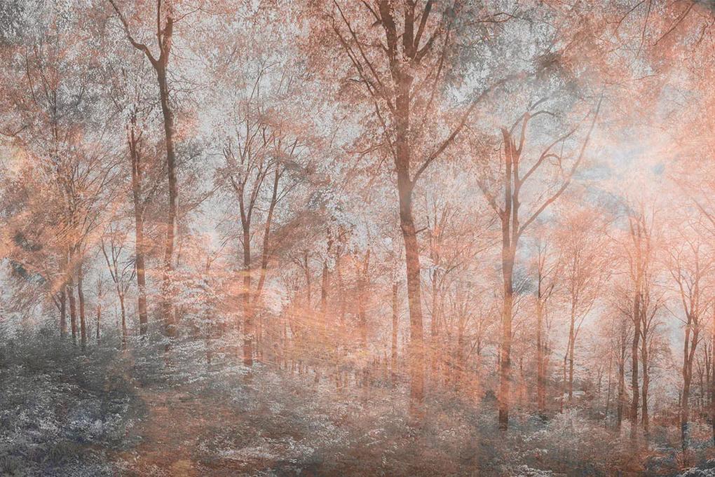 DIMEX | Samolepicí vliesová fototapeta na zeď Abstrakt barevný les MA-5-0390 | 375 x 250 cm | vícebarevná, růžová