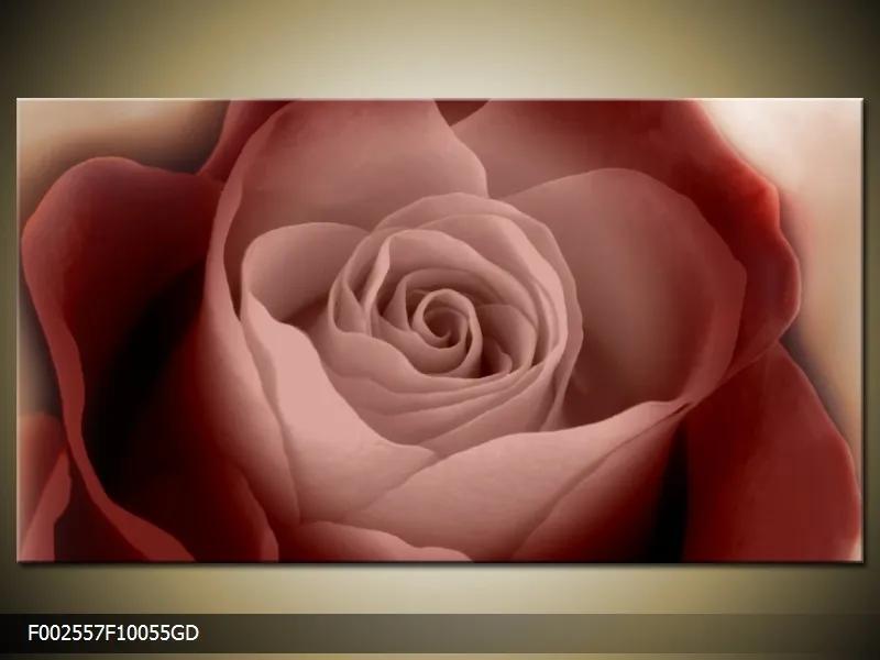 Obraz krásného květu růže (), 40 dalších rozměrů