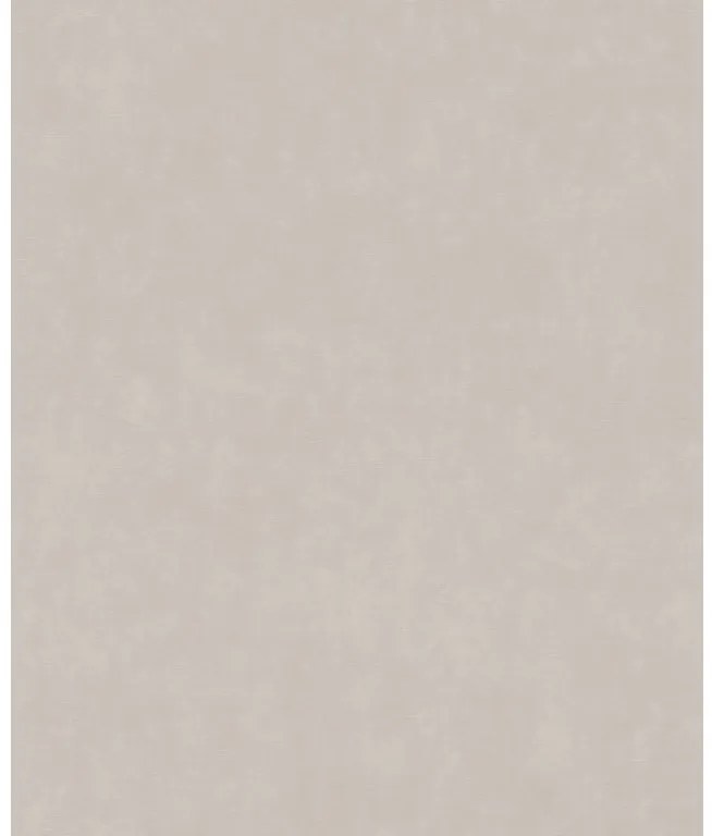 Vliesová tapeta jednobarevná šedá 690705 / Tapety na zeď Paraiso (0,53 x 10,05 m) Rasch