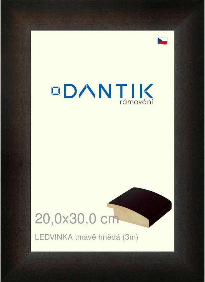 DANTIK rámeček 20x30 | LEDVINKA tmavě hnědá (Sklo Čiré)