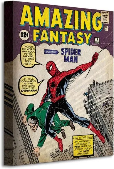 Obraz na plátně Marvel Spider-Man (Issue 1) 30x40cm WDC92047