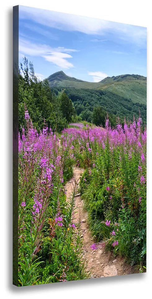 Wallmuralia Foto obraz na plátně do obýváku Bieszczady 50x100 cm