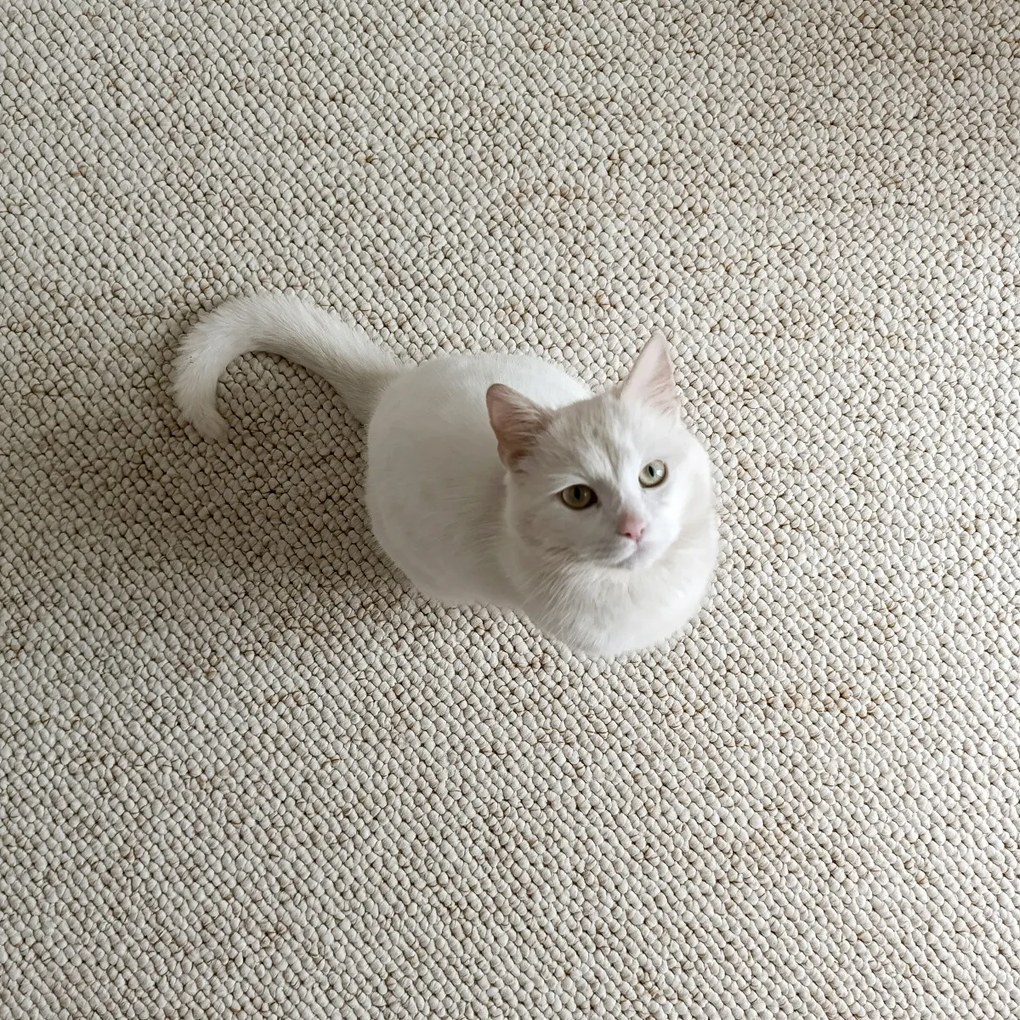 BT Carpet, Kusový koberec Wolly 102843, 100x140, bílá, ložnice