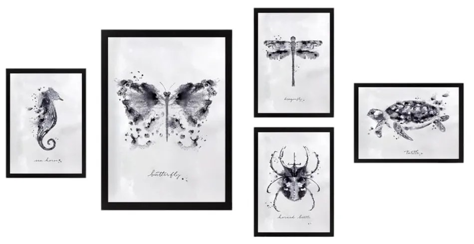 Obrazy v sadě 5 ks Butterfly – Wallity Biano.cz