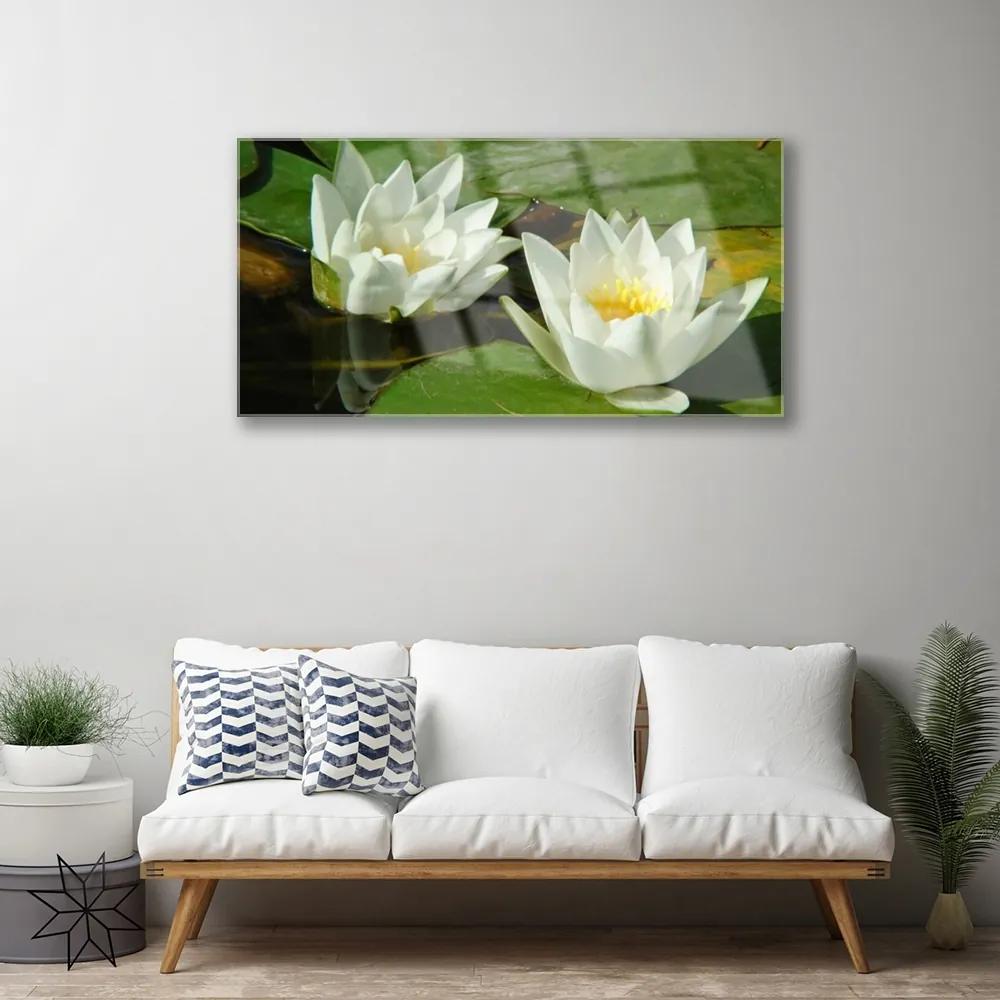 Obraz na skle Květiny Rostliny Příroda 140x70 cm