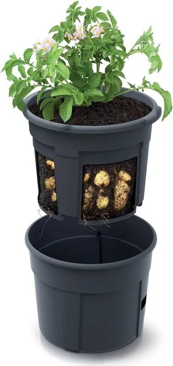 PRO Květináč na pěstování brambor POTATO GROWER antracit 39,2cm