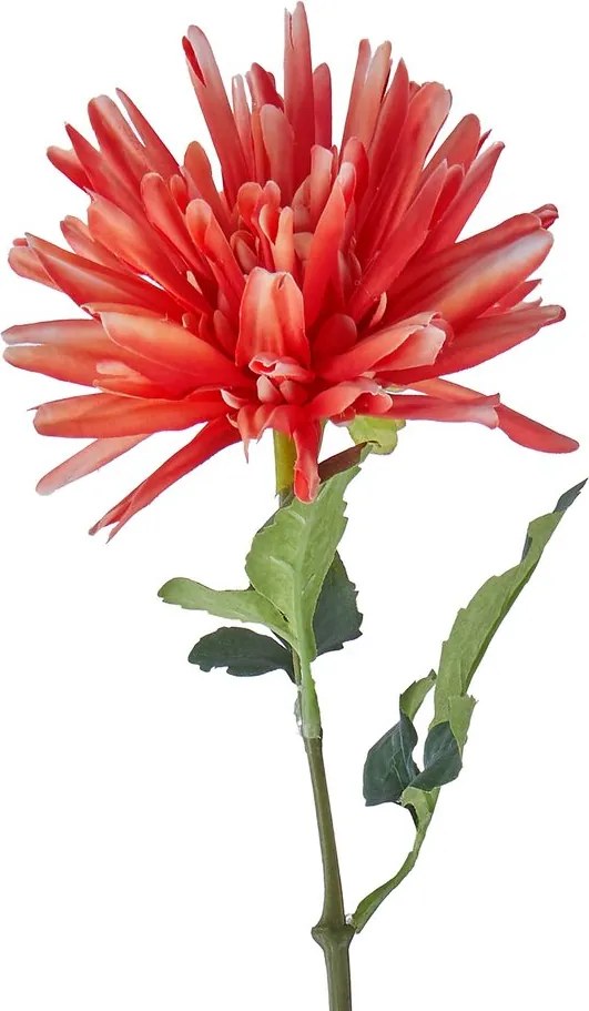 FLORISTA Jiřina 59 cm - červená