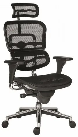 Kancelářská židle ERGOHUMAN - 3D5131