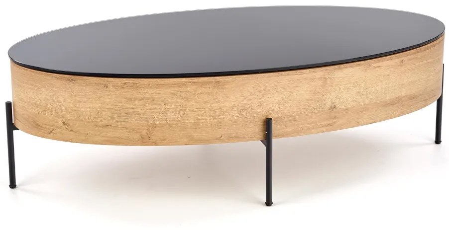 Konferenční stolek ZENGA, 120x37x60, dub zlatý/černá