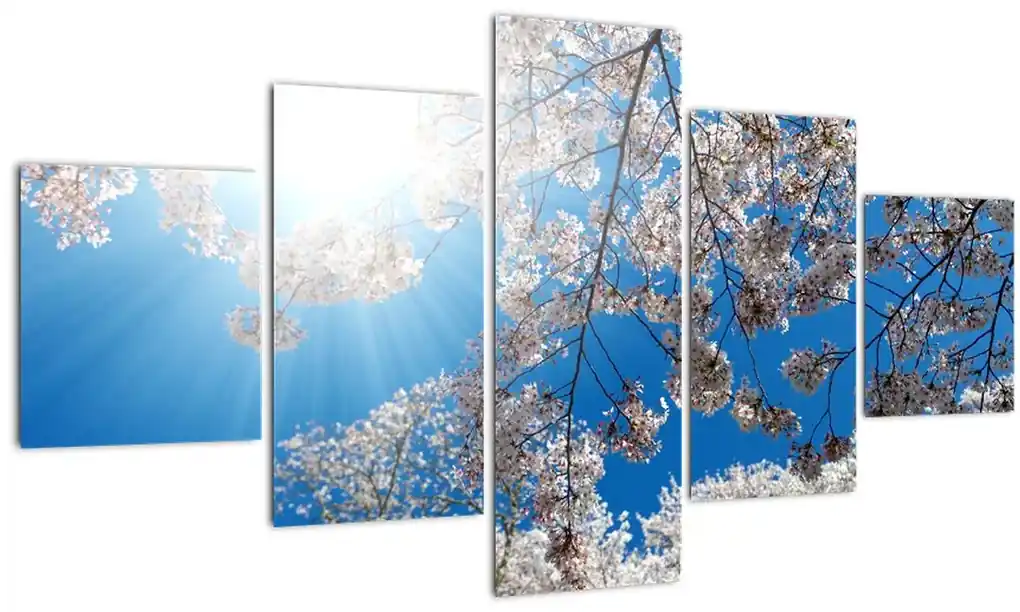 Obraz - Třešňové květy (125x70 cm) | BIANO