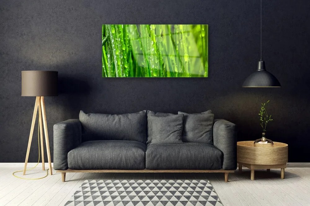 Obraz na skle Tráva Rostlina Příroda 140x70 cm