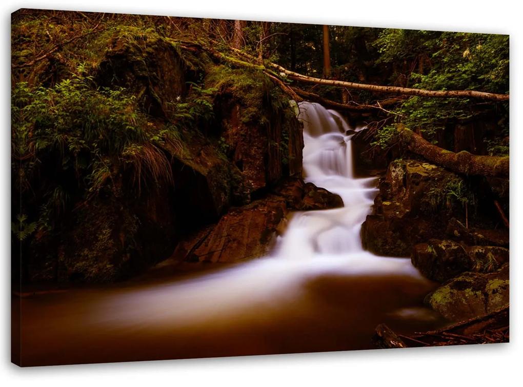 Gario Obraz na plátně Pohádkový vodopád Rozměry: 60 x 40 cm