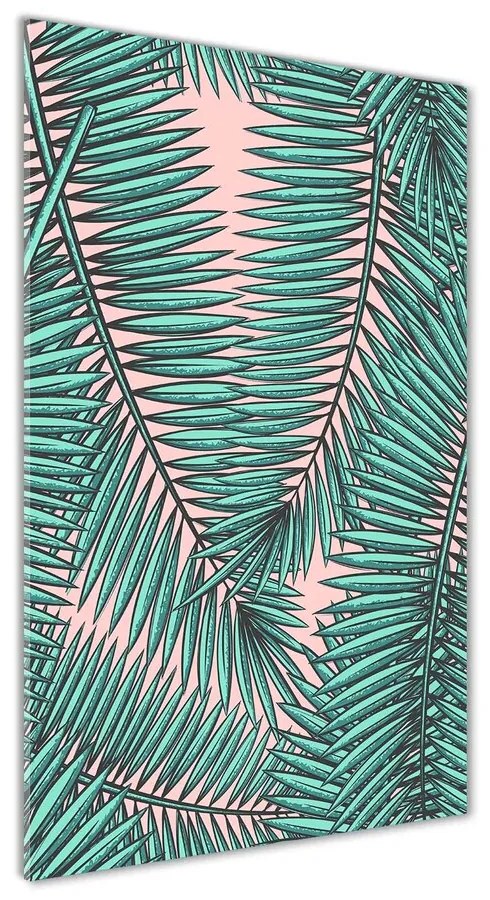 Wallmuralia Moderní akrylový fotoobraz Listí palmy 50x100 cm