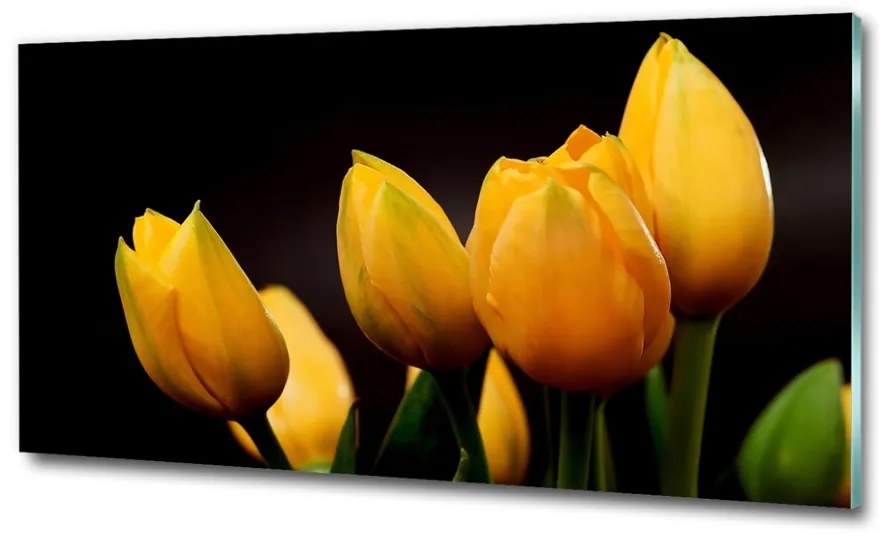 Wallmuralia Foto obraz sklo tvrzené Žluté tulipány 100x50