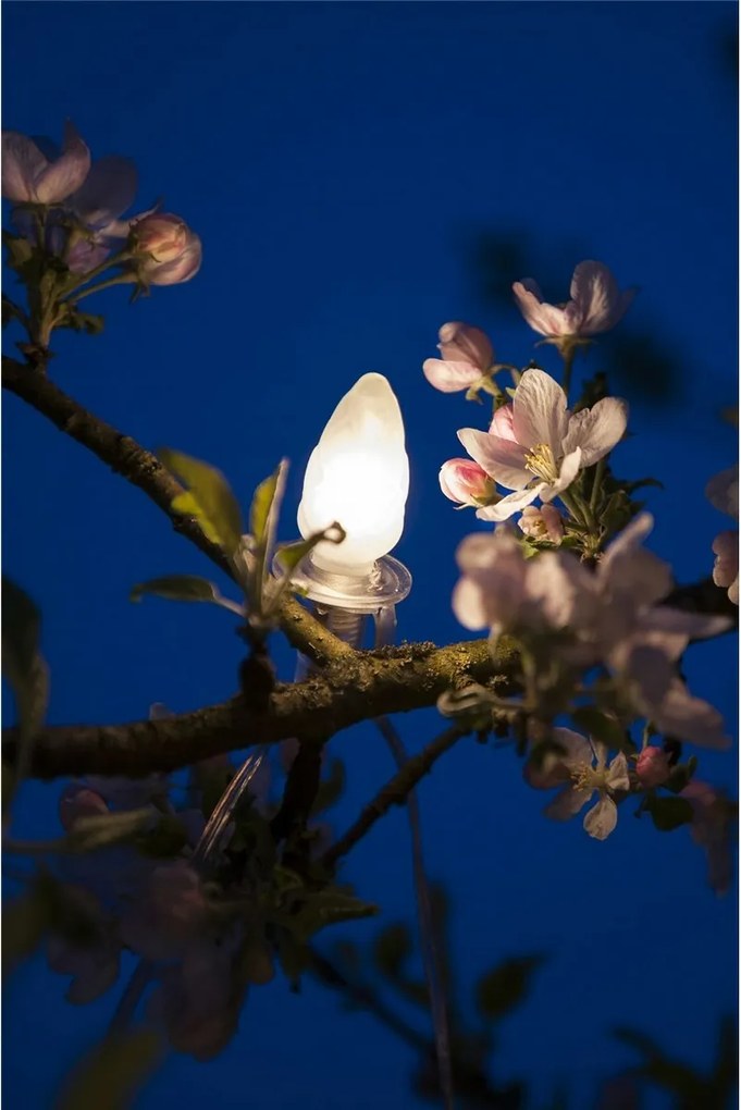Světelný řetěz Šiška, 20 LED žárovek Filament, čirý kabel, základní