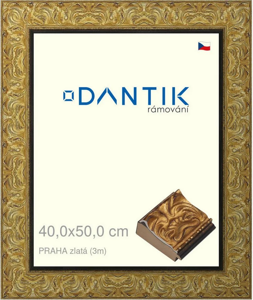 DANTIK rámeček 40x50 | PRAHA zlatá (Sklo Čiré)