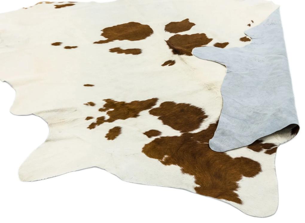 Hnědý  koberec Banshee Brown Rozměry: 180x240 cm