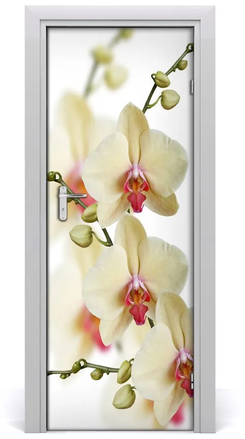 Samolepící fototapeta na dveře Orchidej 85x205 cm