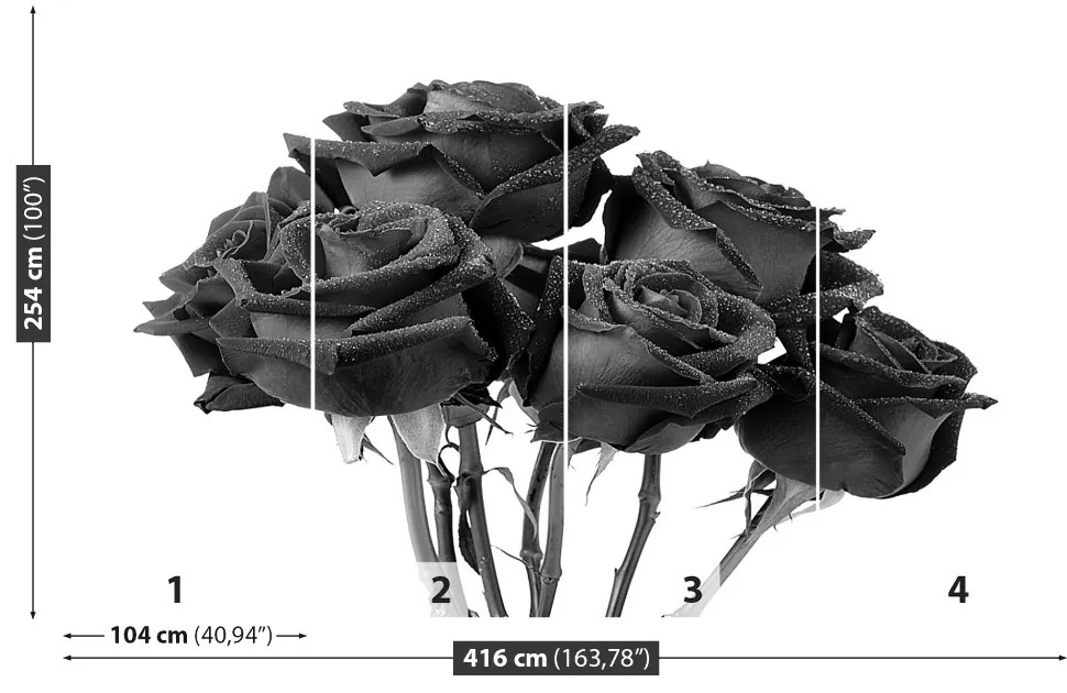 Fototapeta Černé růže 104x70