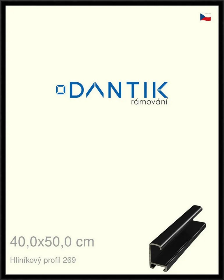 DANTIK rámeček 40x50 | ALU profil 7269 Černá lesklá (Sklo Čiré)