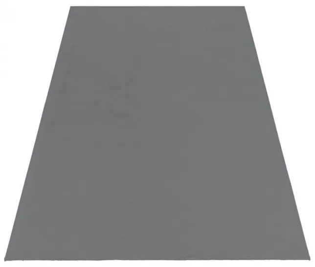Vopi | Kusový koberec Catwalk 2600 grey - 200 x 300 cm
