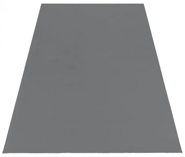 Vopi | Kusový koberec Catwalk 2600 grey - 60 x 100 cm