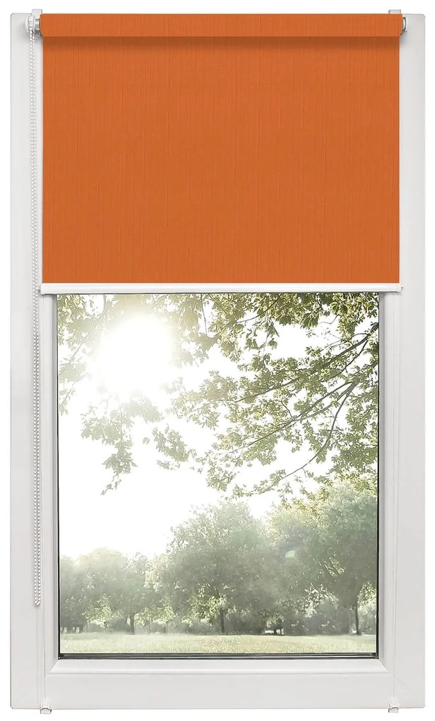 Roleta na okno - Polyester 860 Barva ovládání: Hnědá, šířka: 53, výška: 215
