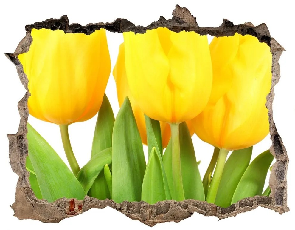 Wallmuralia Samolepící díra na stěnu Žluté tulipány 95x64 cm