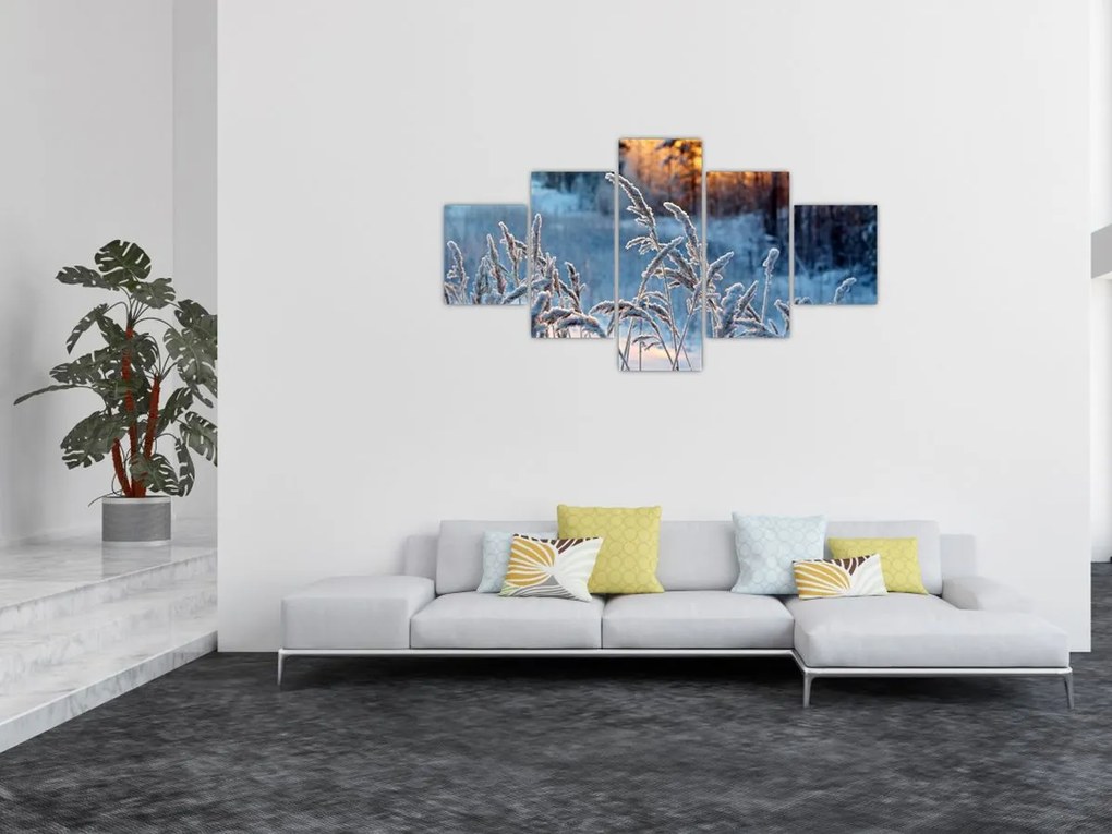 Obraz - Zimní louka (125x70 cm)